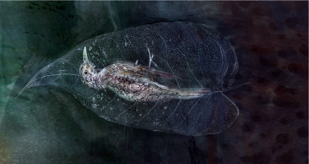 Research News at the College of Liberal Arts